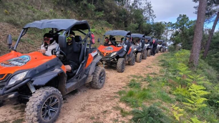 Pombal- Sicó: 60 minutes OFF-ROAD Buggy Ride - Practical Tips for Your Ride
