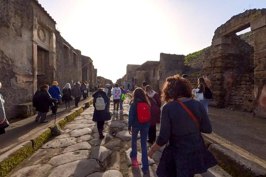 Pompeii: 2 Hours Skip the Line Visit with a Licensed Guide - Who Will Love This Tour?