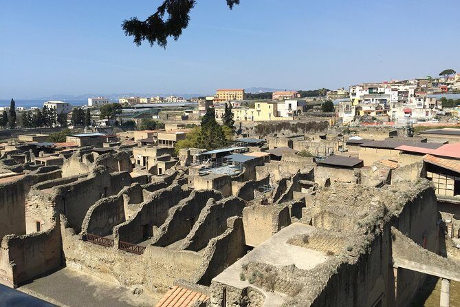 Pompeii, Herculaneum & Mt. Vesuvius Guided Tour from Sorrento - The Value of the Experience