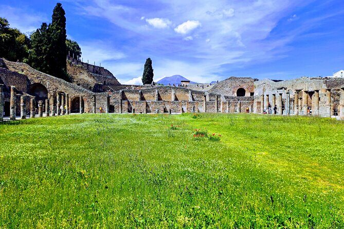 Pompeii private tour from Naples. The best choice for cruisers - What Makes This Tour Stand Out