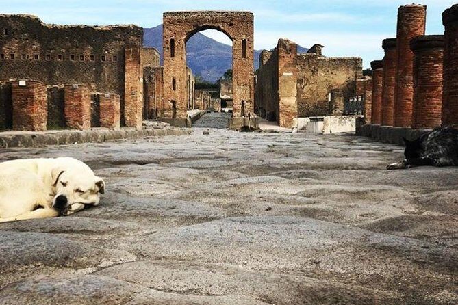 Pompeii Private Tour with Expert Guide - Who Will Love This Tour?