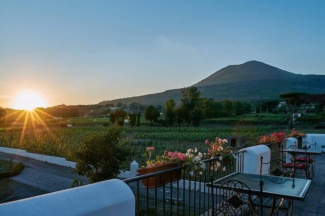 Pompeii Tour, Lunch and Vesuvius Wine Tasting - Exploring Pompeii: What to Expect