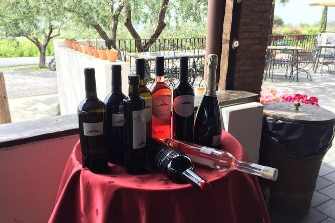 Pompeii-Vesuvius-Wine tour from Sorrento, licensed guide included - Who Will Love This Tour?