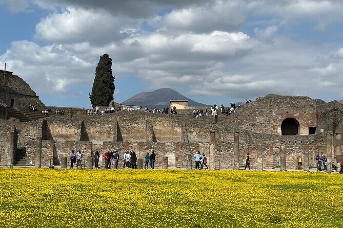Pompeii walking tour (2hrs) - Why Choose This Pompeii Walking Tour?