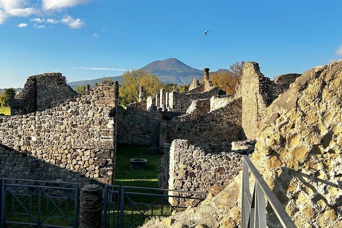 Pompeii with an Archaeologist Shared or Private Tour from Naples - Who Should Book This Tour?