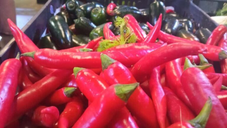 Ponta Delgada: Fat Dolphin Food Tours - Who Will Love This Tour?