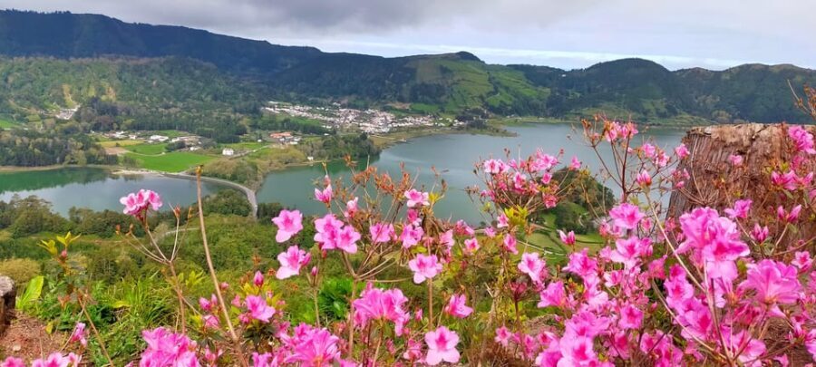 Ponta Delgada: Private Tour Sete Cidades Green e Blue Lakes - What the Reviews Say