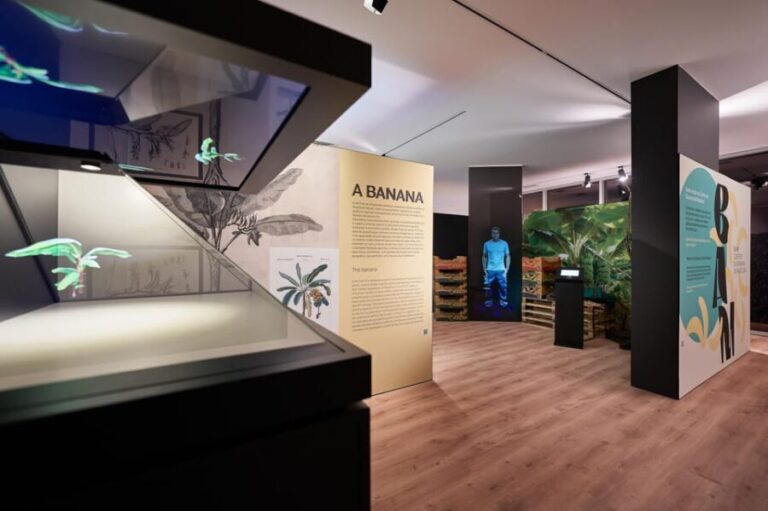 Ponta Do Sol : Madeira Banana Museum guided tour - Final Thoughts