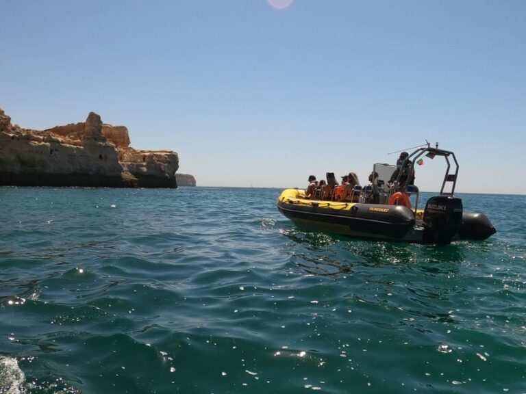 Portimão: 2-Hour Dolphin Watching Boat Tour - The Value of This Tour