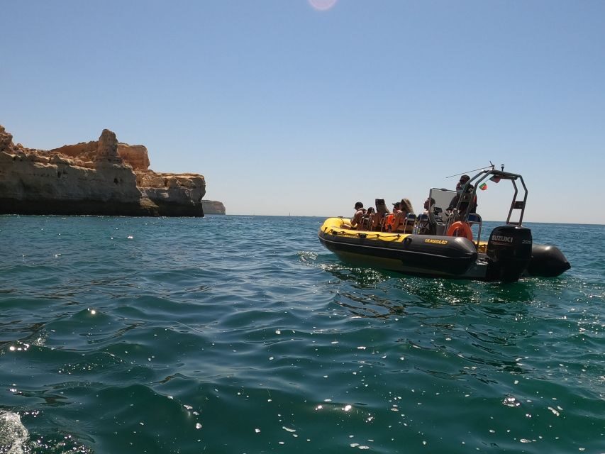 Portimão: 2-Hour Dolphin Watching Boat Tour - The Value of This Tour