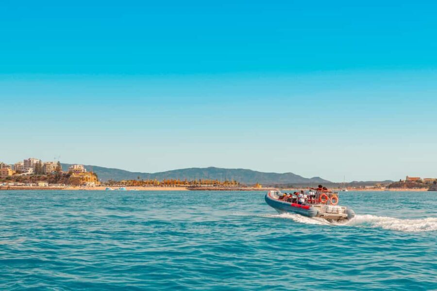 Portimão: Benagil Boat Tour & Marinha Beach & Carvalho Beach - Dive Into Details: What You’ll See and Experience