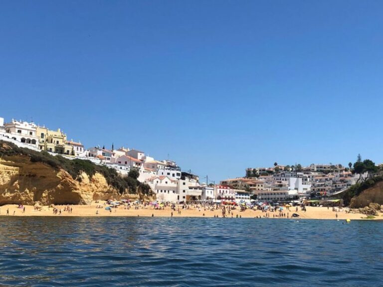 Portimão: Dophin Watching on the Algarve Coast - Final thoughts