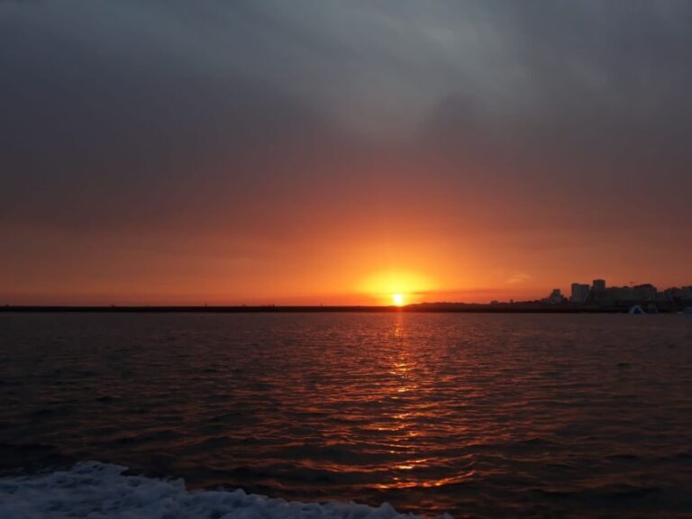Portimão: Guided Coastal Caves Tour by Boat - Practical Details and Tips