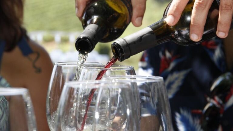 Porto: 3 Wine Regions & Farm Lunch with Views Small-Group - A Deep Dive Into the Douro Valley Experience