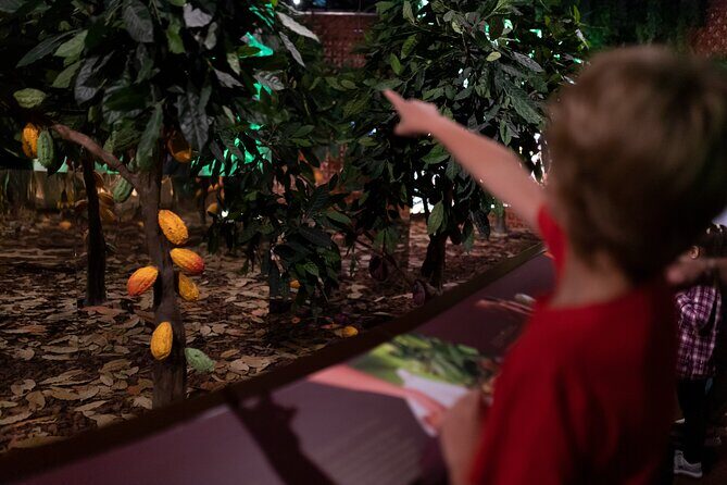 Porto: Chocolate Museum - Chocolates Delicious Journey + Tasting - The Itinerary in Detail