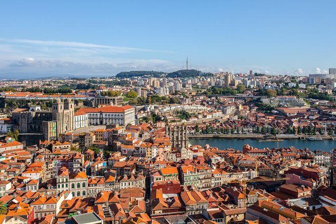 Porto City Tour Half Day - Private - Exploring the Itinerary in Detail