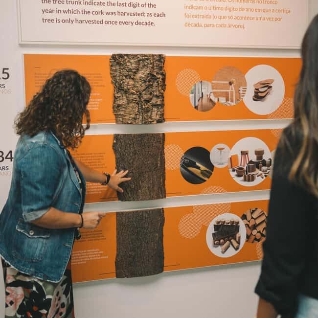 Porto: Cork Museum: Immersive and Perfect for Families - Why This Tour Delivers Good Value