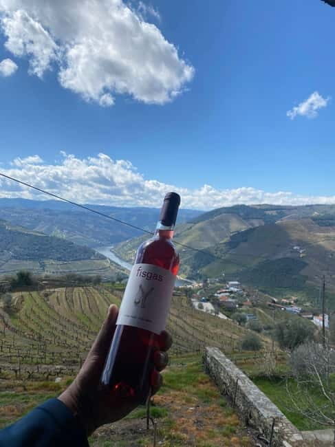 Porto: Douro Valley Half-Day Wine and Food Tour - Deep Dive into the Experience
