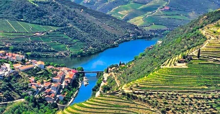 Porto: Douro Valley Private Tour 2 Vineyards & River Cruise - Practical Details & What To Expect
