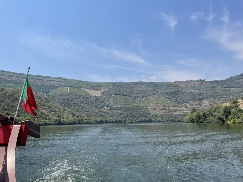 Porto: Douro Valley Tour w/ 3 Tastings, Lunch, & Opt. Cruise - Who Will Love This Tour?