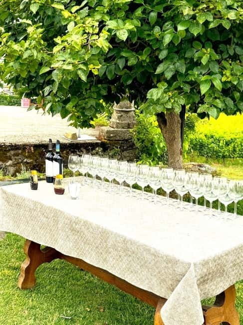 Porto: Douro Valley Tour with 3 Wineries and Lunch - Practical Details That Matter