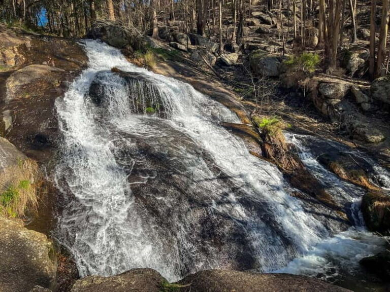 Porto: Forest Waterfalls & Roman Ruins Trail Tour - Authentic Experiences and Practical Insights