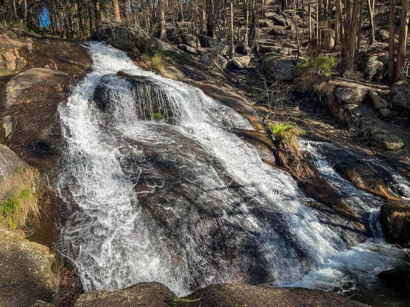 Porto: Forest Waterfalls & Roman Ruins Trail Tour - Authentic Experiences and Practical Insights