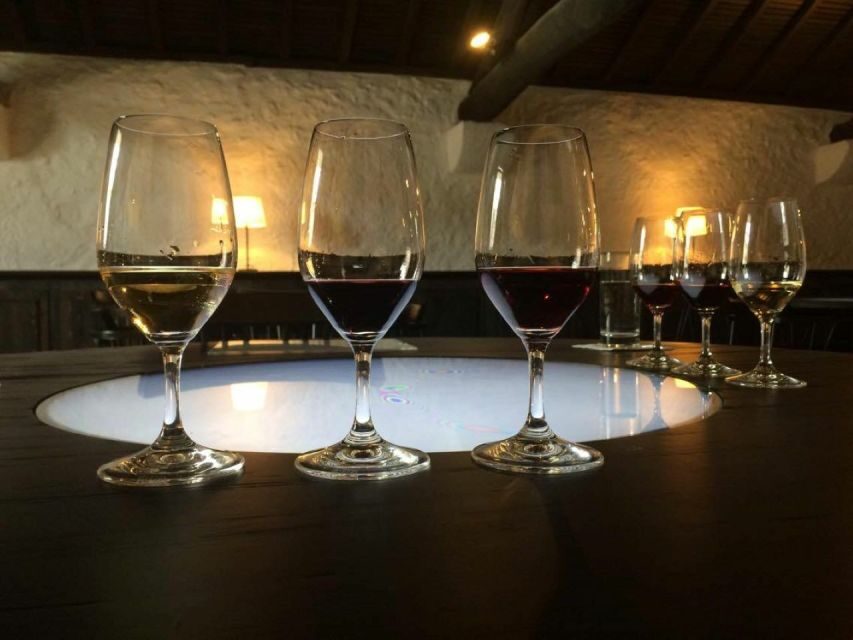 Porto: Private Guided Wine-Tasting Tour - Authentic Experiences and Honest Insights