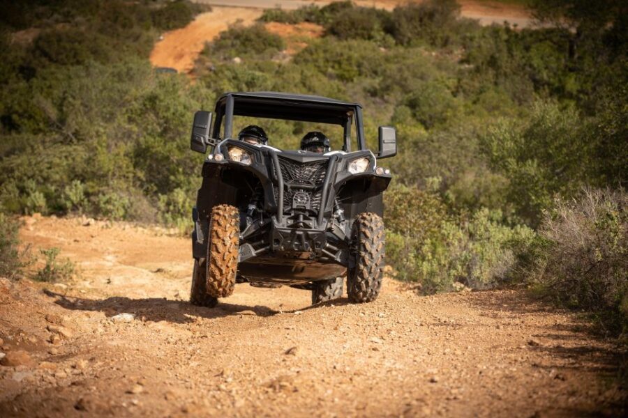 Porto Santo: 180 Minutes Off-Road Buggy Tour - Why This Tour Stands Out