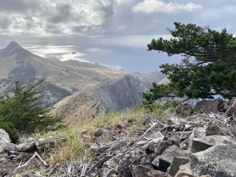 Porto Santo: Pico Branco and Terra Cha Guided Mountain Hike - The Itinerary: What to Expect