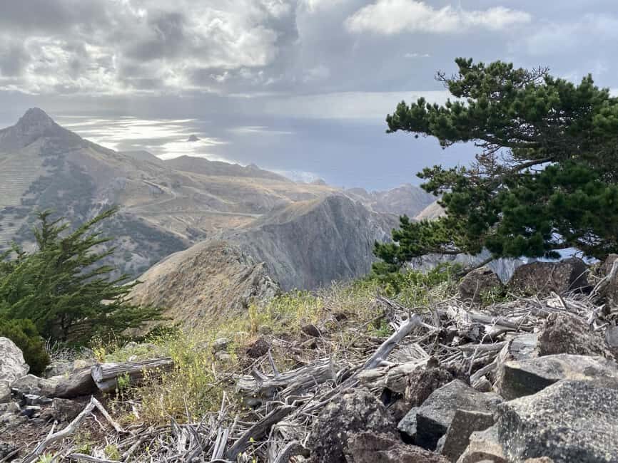 Porto Santo: Pico Branco and Terra Cha Guided Mountain Hike - The Itinerary: What to Expect