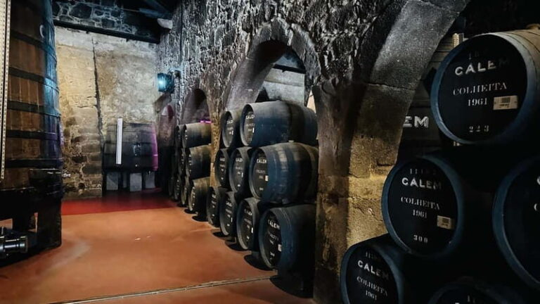 Porto to Gaia Experience: City Walk and Wine Cellars - What to Expect from the Tour