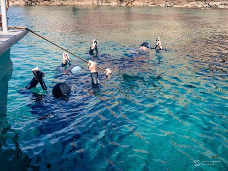 Porto-Vecchio: beginner diving in the Cerbicale Islands in the reserve - What Makes This Tour Unique?
