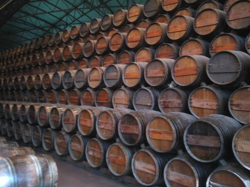 Portuguese Wine History & Amazing Landscape - Frequently Asked Questions