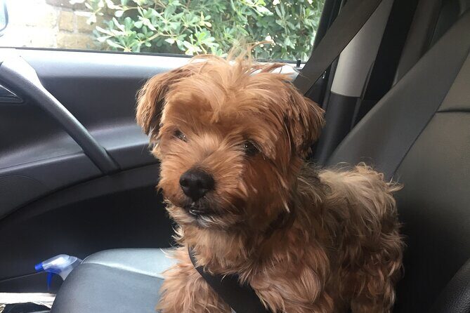 Post Cruise Roma Private tour from Civitavecchia - An In-Depth Look at the Itinerary