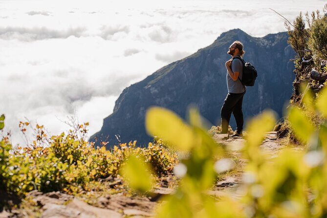 PR1 Pico do Arieiro Self-Guided Hiking Transfer (Morning slot) - A Closer Look at the Itinerary and Experience