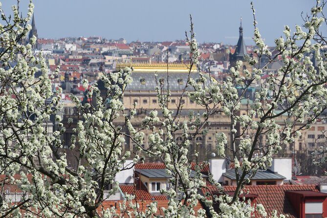 Prague Literary & Historical Tours - Literature Route - Price and Value for Money