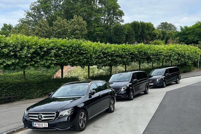 Prague private day tour from Vienna ( local guide ) - Quality of Guides and Overall Experience