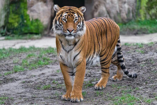 Prague Zoo Admission Ticket including Round Trip Transfer - Final Thoughts