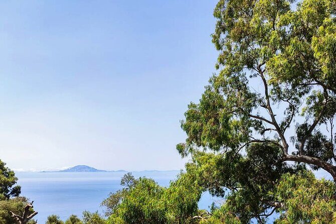 Premium private trip to Gibraltar from Seville (multiple options) - Practical Details and What You Can Expect