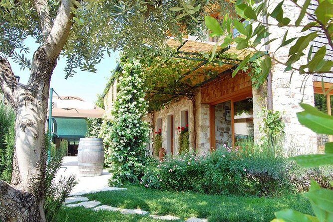 Premium Prosecco Hills Winery Tour with Prosecco Tastings & Food - Who Is This Tour Best For?