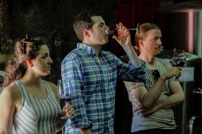 PREMIUM TASTING and TAPAS with GUIDED TOUR - Final Thoughts