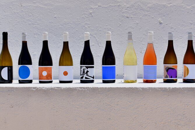 Premium Vineyard Tour & Tasting - Why This Tour Works Well