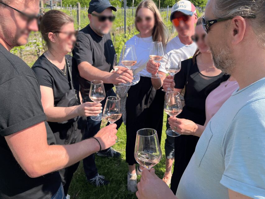 Premium wine hike Stuttgart with games and winemaker's snack - A Close Look at the Stuttgart Premium Wine Hike