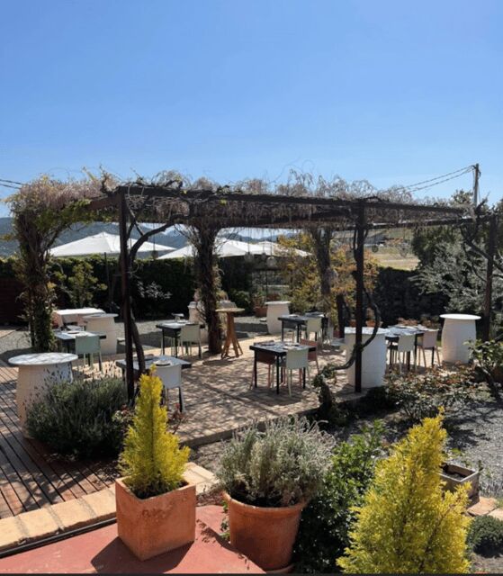 Priorat tour to 3 small wineries and hotel pick-up - What’s Included and What’s Not