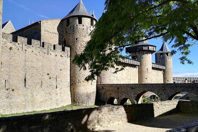 Private 2-hour Walking Tour of Carcassone with official tour guide - Why Choose a Private Guided Tour?