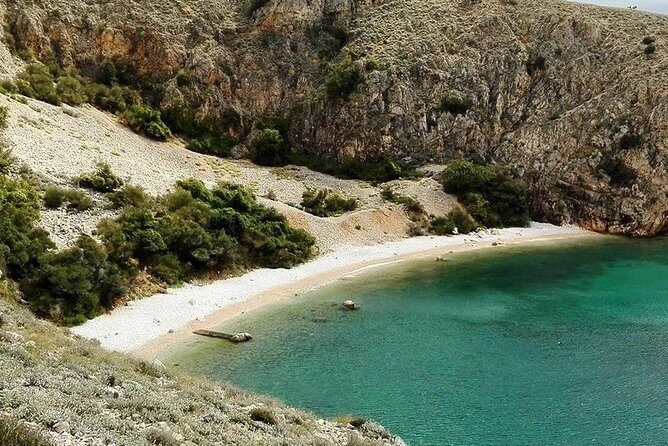 Private 7,5h Plavnik Island & Wild Bays Full-day Boat Trip - What You Can Expect During the Day