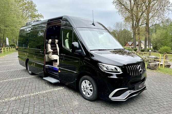 Private Airport Transfer (Fiumicino Airport to Rome Hotel) - Handling Flight Delays and Flexible Meeting Points