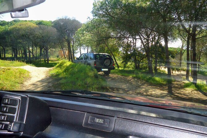 Private Algarve Tour with Typical Lunch, pax min. 2. - The Sum Up: Who is This Tour Perfect For?