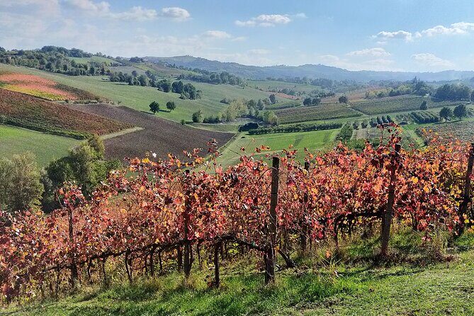 Private Balsamic vinegar & Parmigiano Reggiano factory visits - Who Should Consider This Tour?